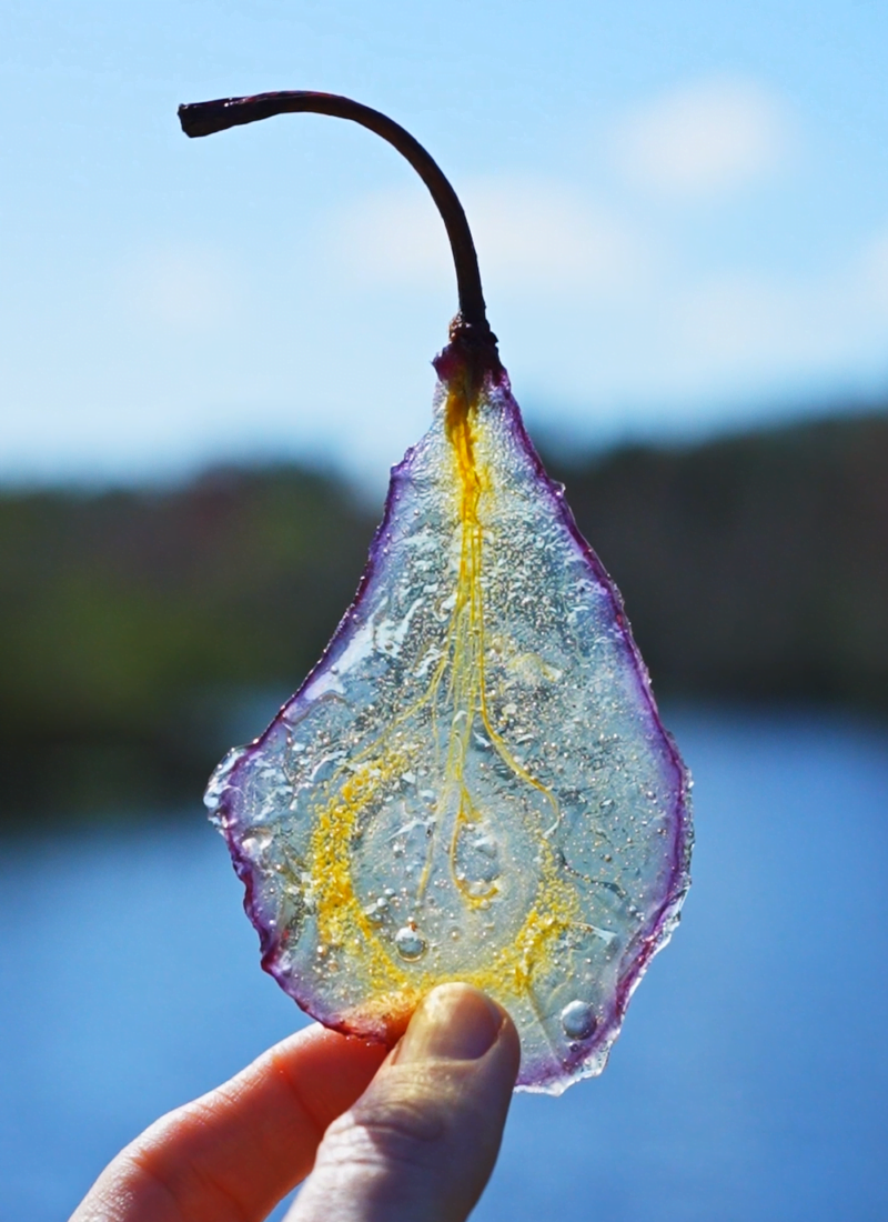 Glass Pear Chips - Dakota Ovdan