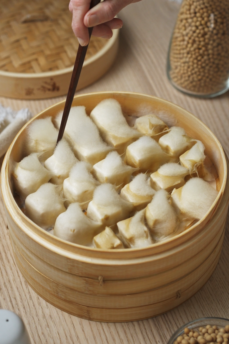 Hairy Tofu - Dakota Ovdan