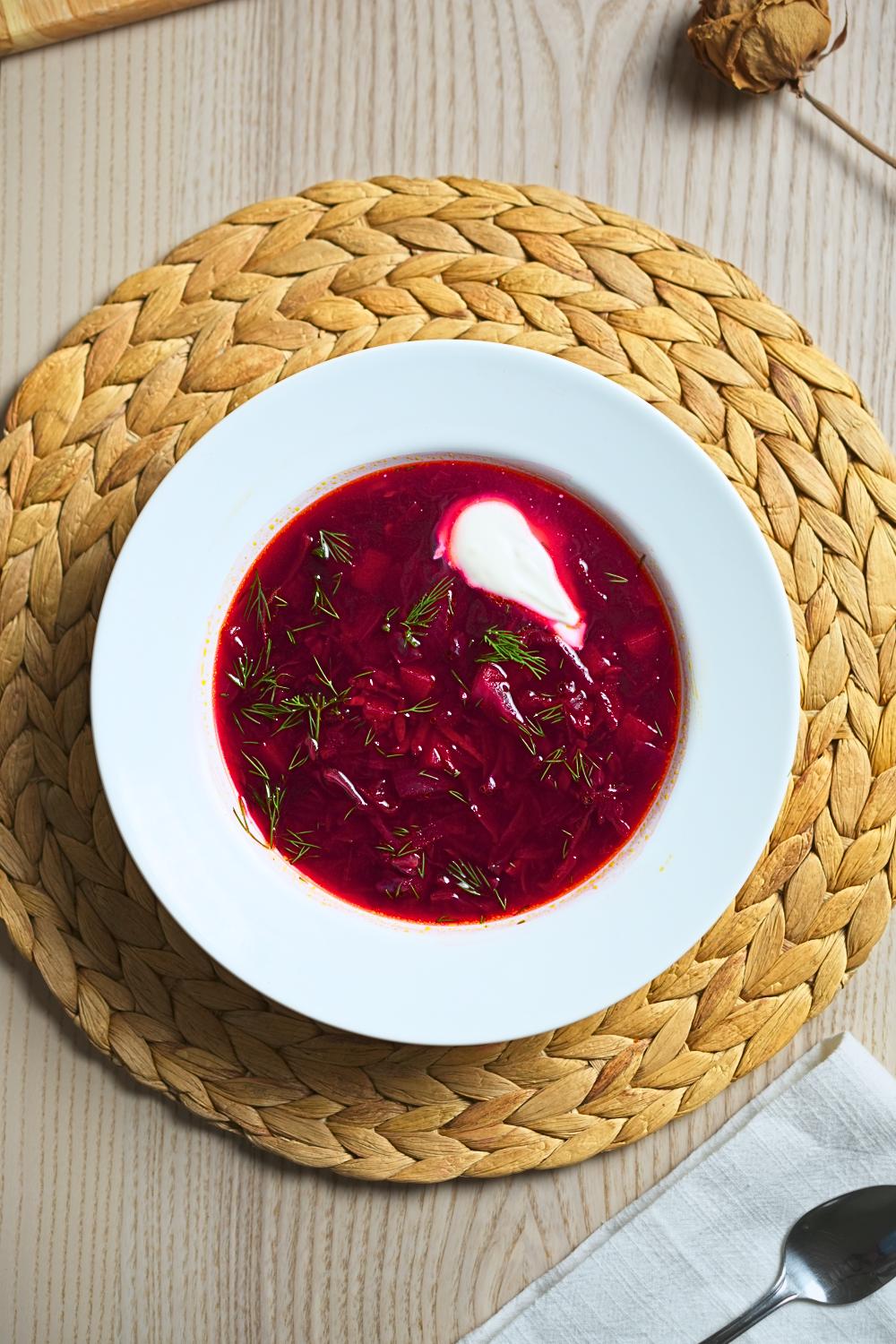 Vegan Borscht - Dakota Ovdan